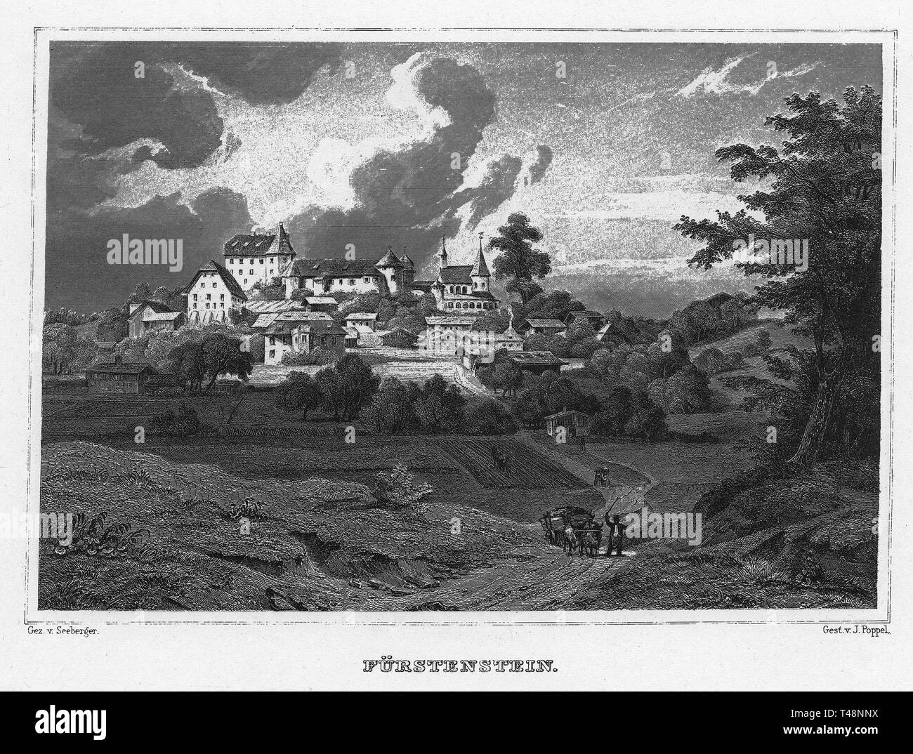 Furstenstein castle in the bavarian forest hi-res stock photography and ...