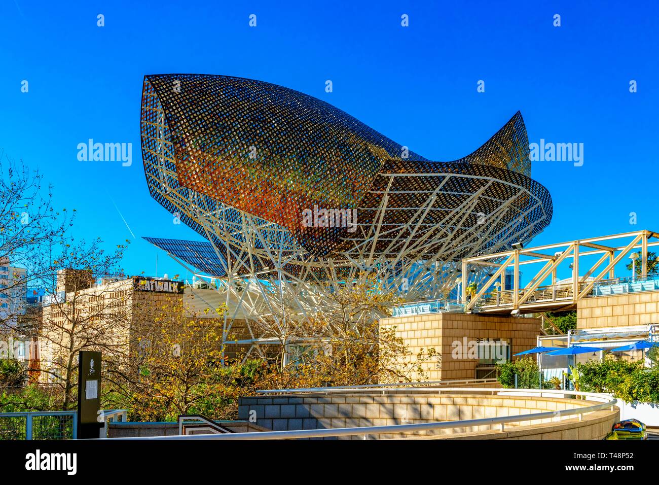 Must See Barcelona Fish Little Girl Meets Big Fish | Aquarium
