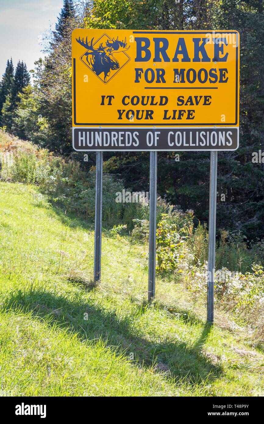 Road sign, Warning sign Elks, Moose Crossing, Cross Elche Street, Maine ...
