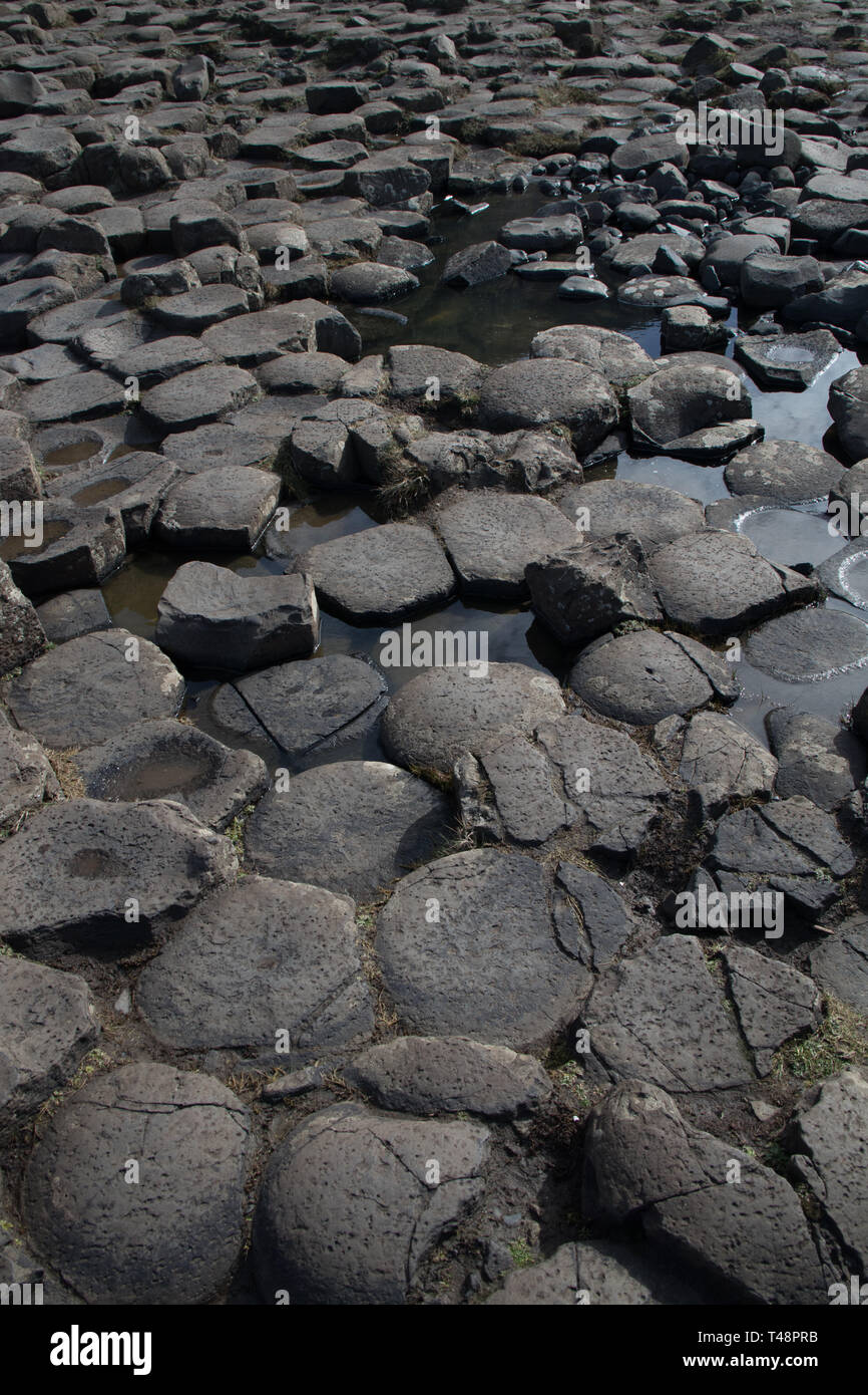 Hexagonal stones at the Giant's Causeway in Northern Ireland Stock ...