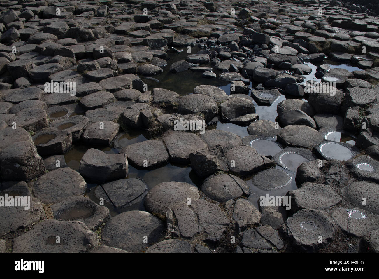 Hexagonal stones at the Giant's Causeway in Northern Ireland Stock ...