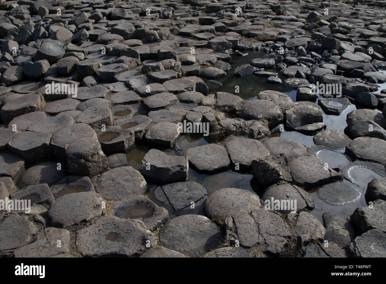 Hexagonal stones at the Giant's Causeway in Northern Ireland Stock ...