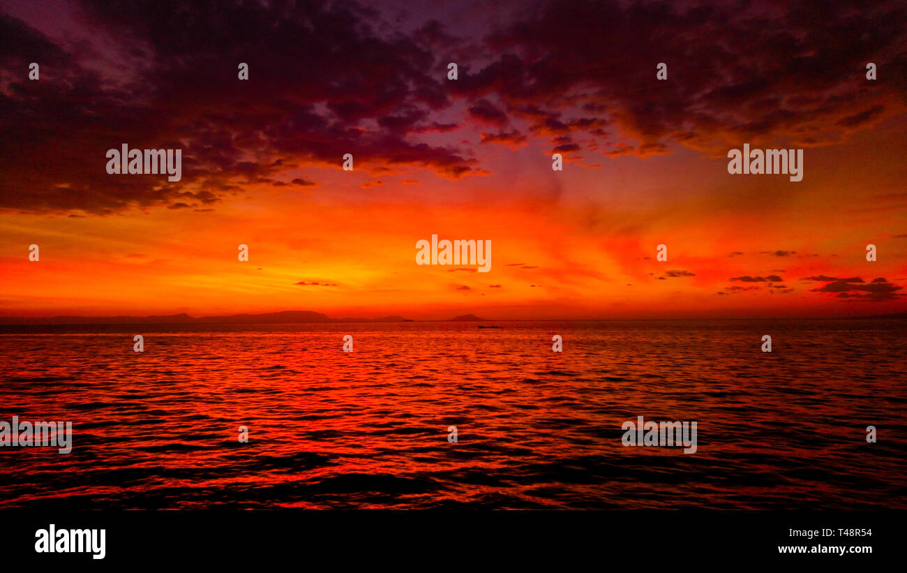 Black sun coral hi-res stock photography and images - Alamy