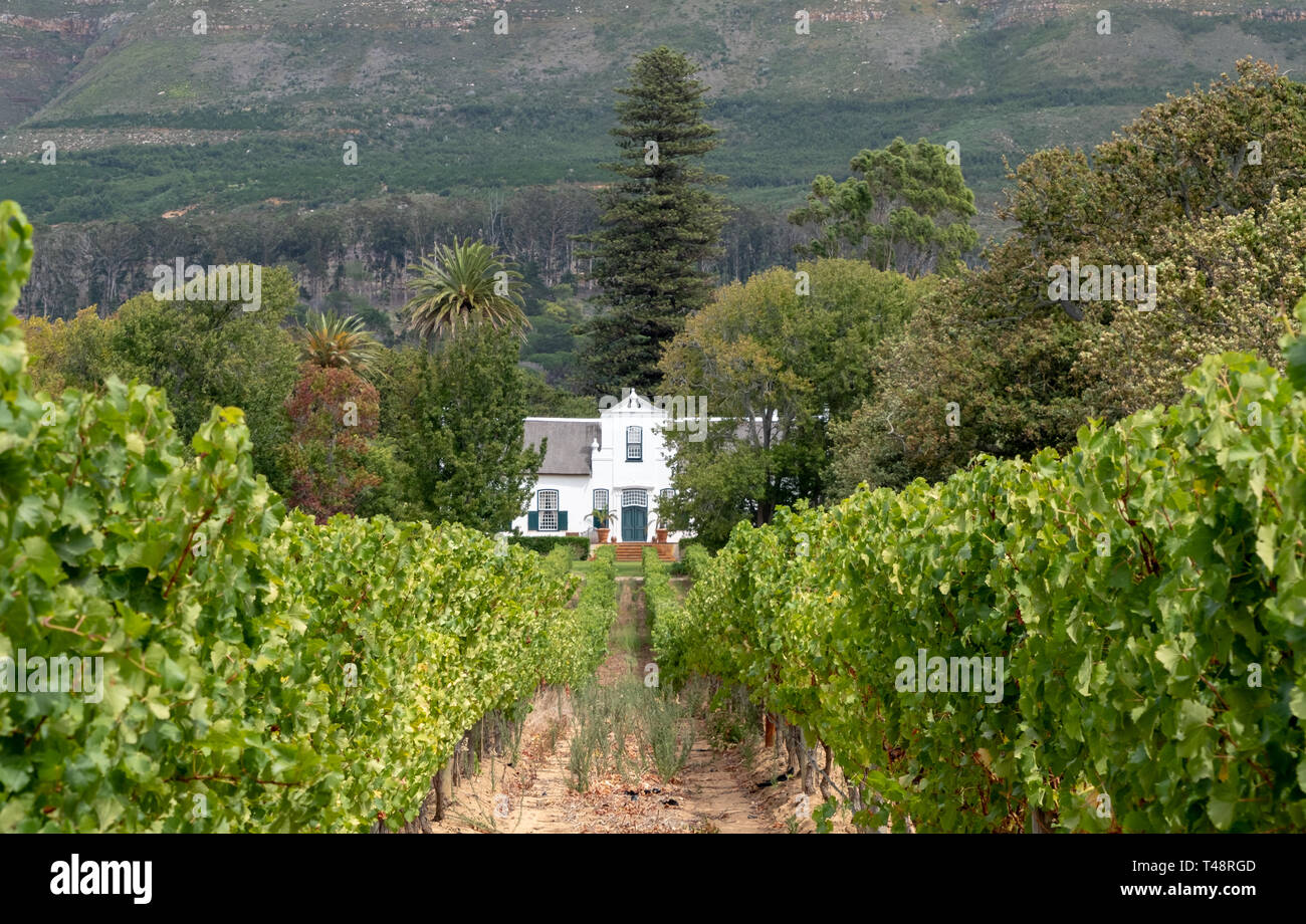 Cape Dutch style farm building at Groot Constantia, Cape Town, South ...