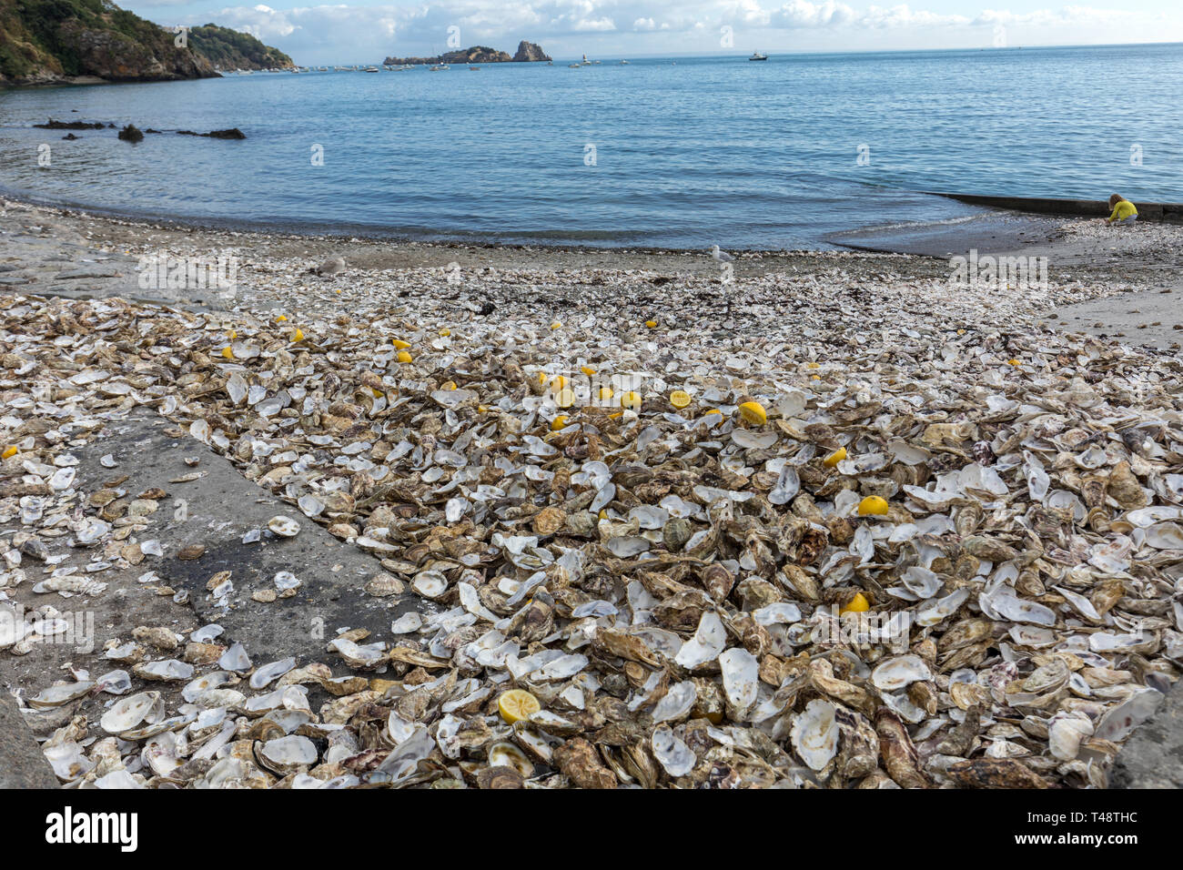Thousands of empty shells of eaten oysters discarded on sea floor in ...