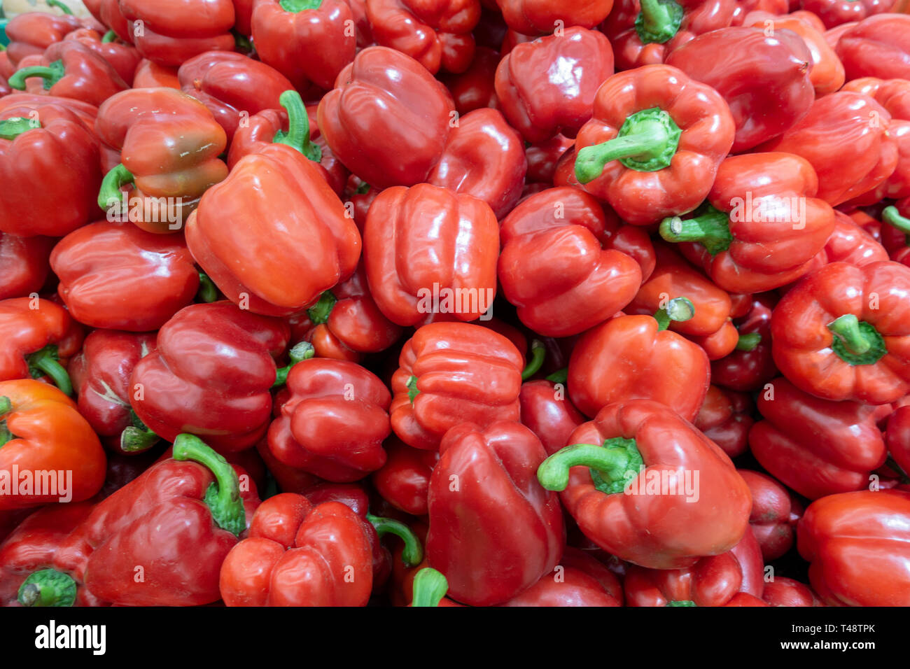 Fresh red pepper harvest close up on the market Stock Photo - Alamy