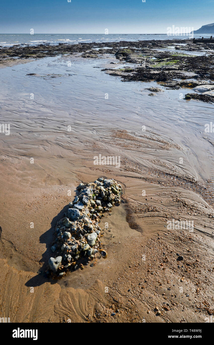 Rock formations and seaweed on the East Sussex coastline, UK Stock ...