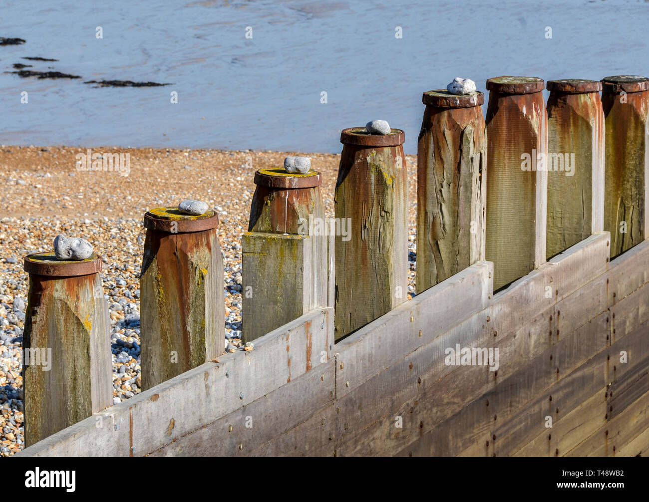 A row of groynes on the beach with a stone placed on the top of each ...