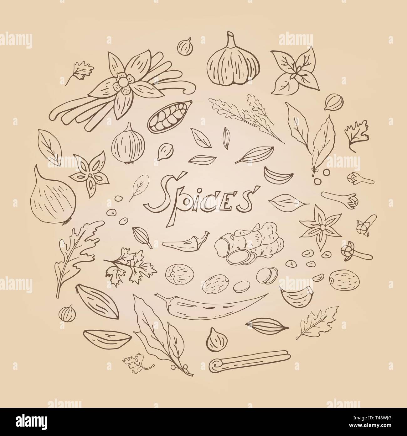 Set of different spices elements in circle shape on craft background ...