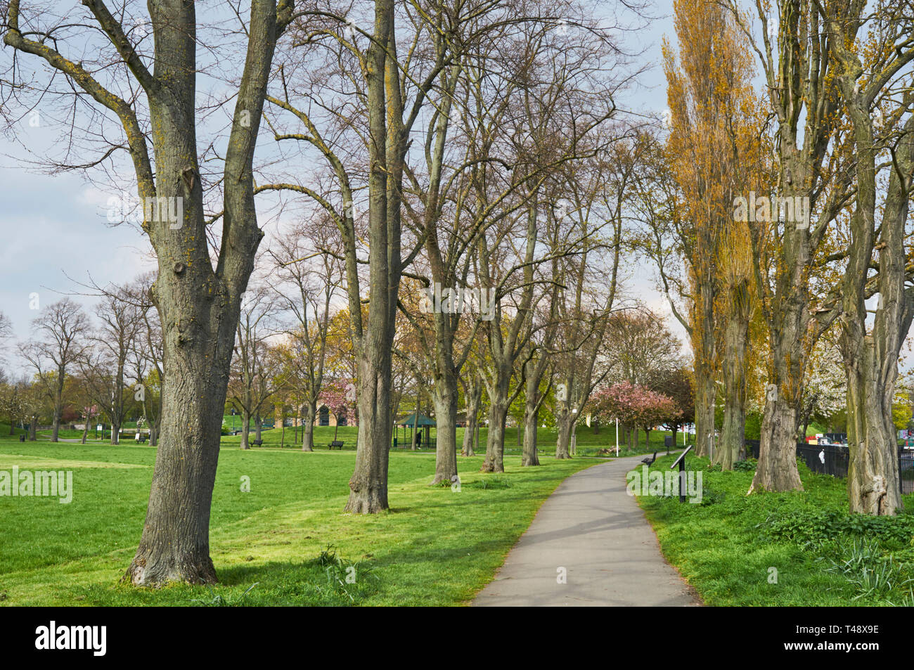 Tree-lined path in Markfield Park in springtime, South Tottenham ...