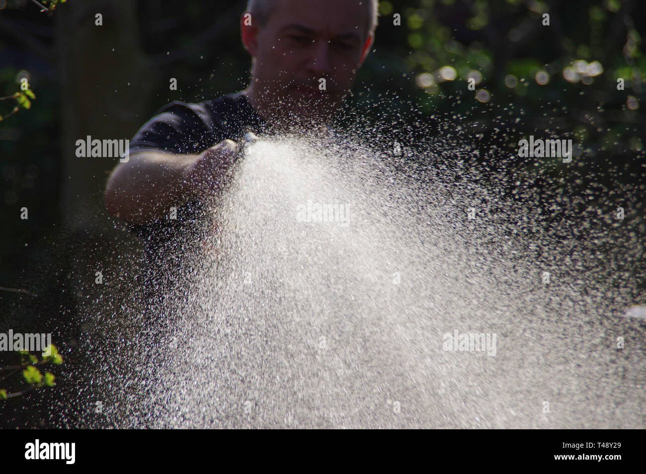 Water drop stream from hose. Man watering the garden with a water ...