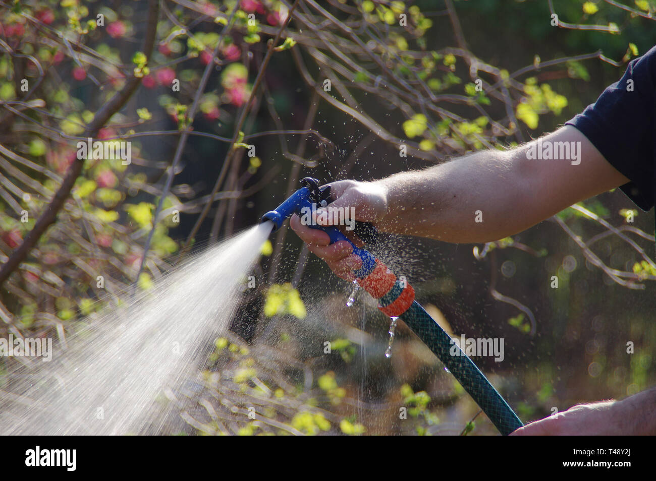 Stream Of Water From Hose