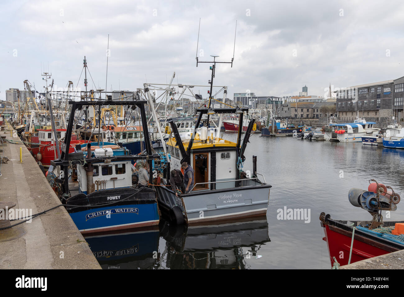 Plymouth fish sidney rose hi-res stock photography and images - Alamy