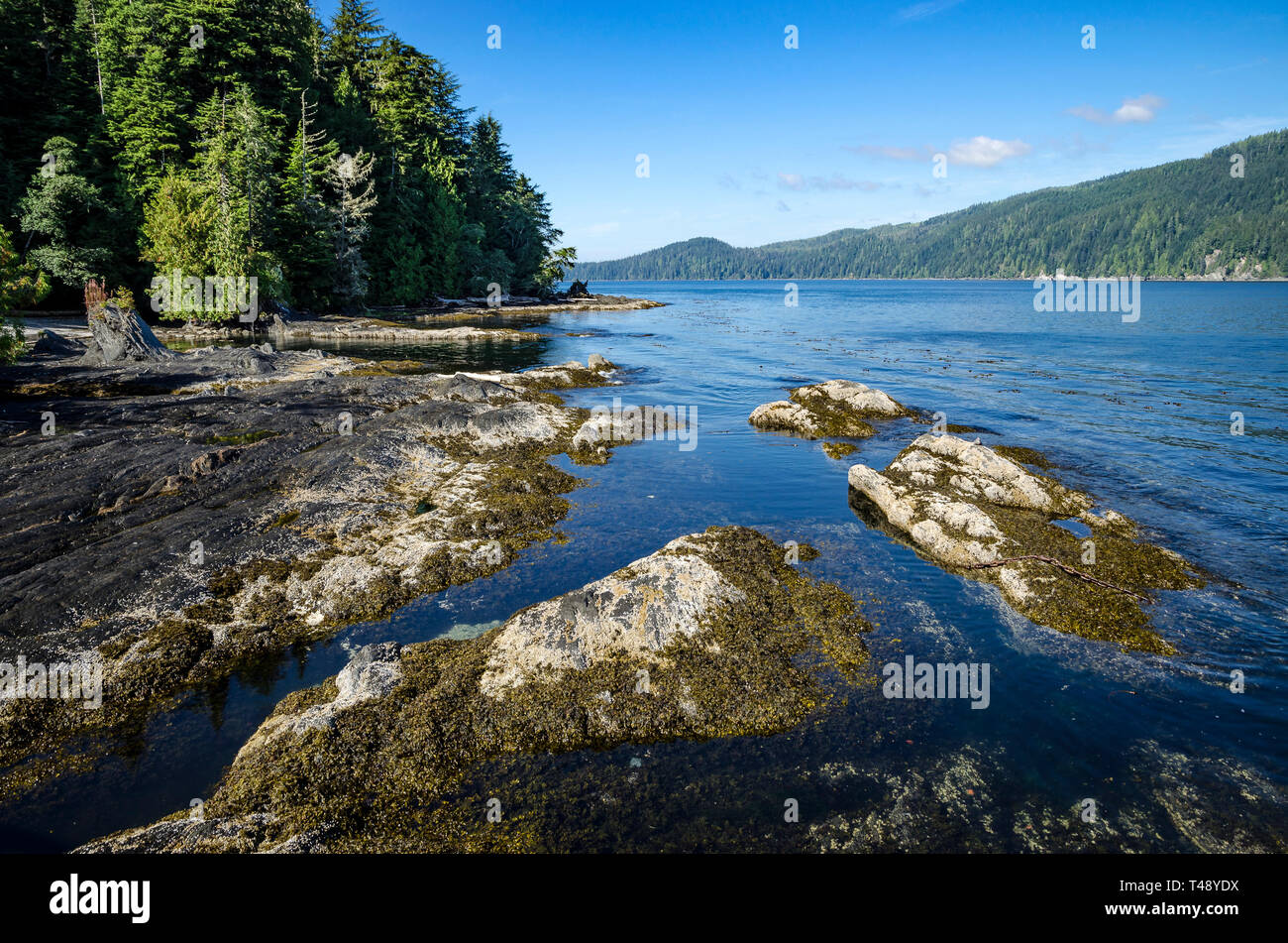 San juan estuary hi-res stock photography and images - Alamy