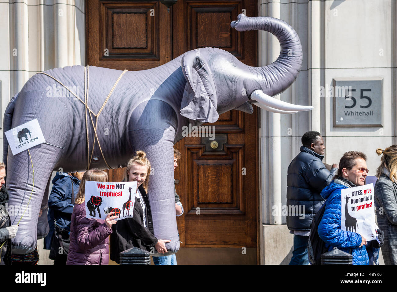 Elephant Rally High Resolution Stock Photography and Images - Alamy