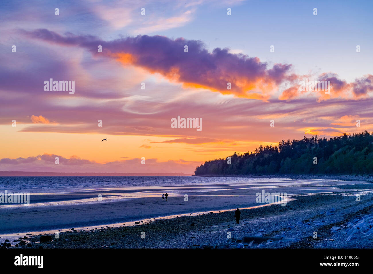 Semiahmoo hi-res stock photography and images - Alamy