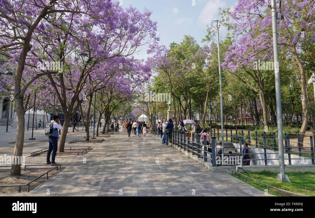 Alameda Central, the city's oldest public park, with trees & fountains ...