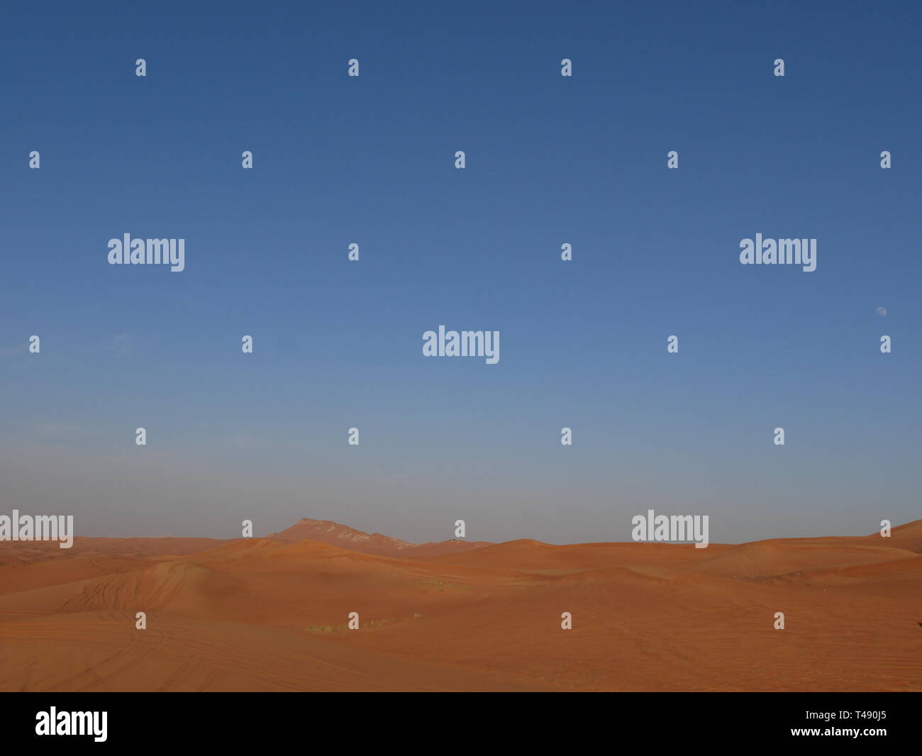 Cartoon desert landscape hi-res stock photography and images - Alamy