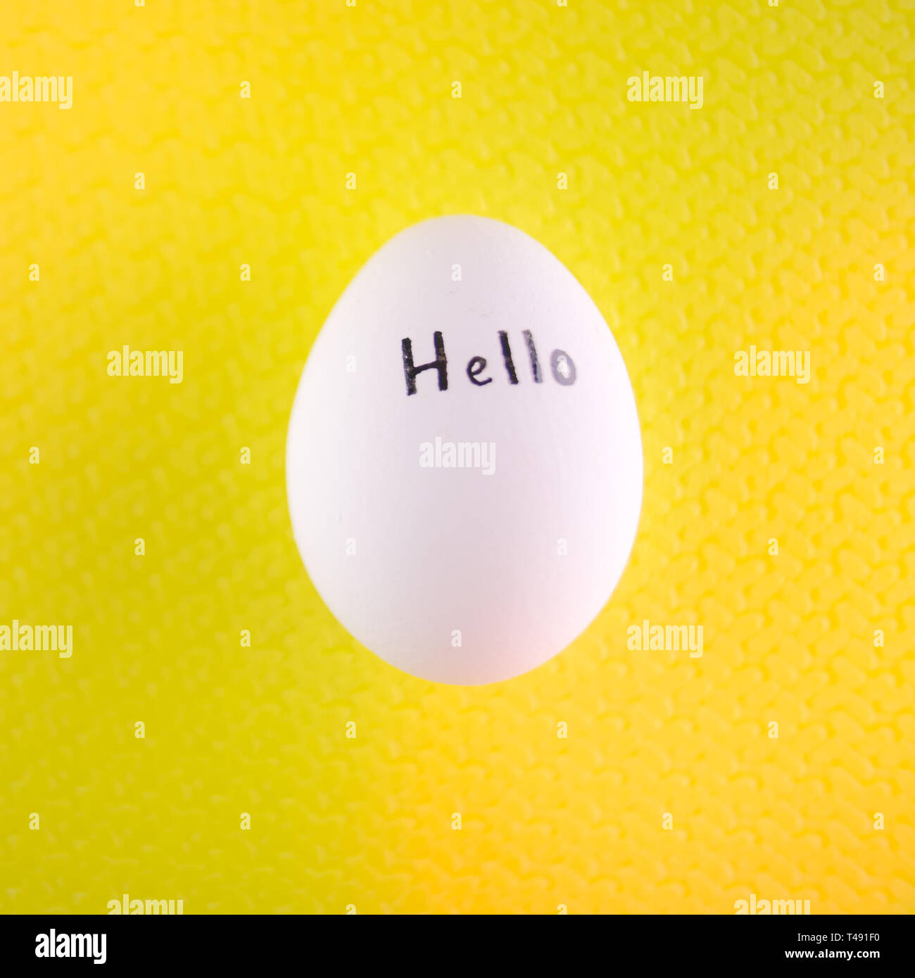 White chicken egg with black inscription hello on a yellow background ...