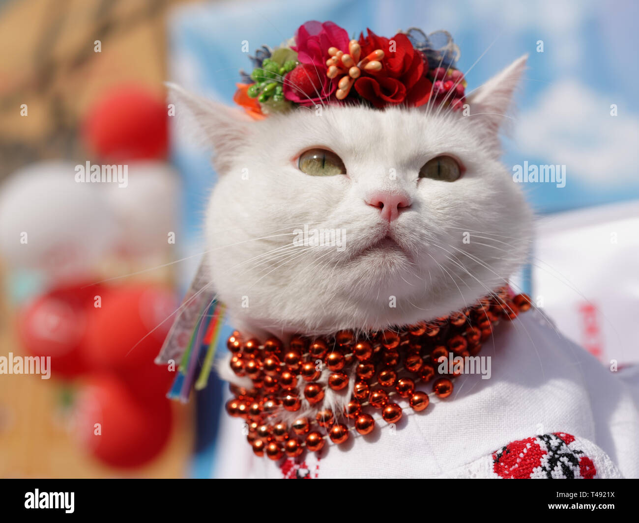 National costume of ukraine hi-res stock photography and images - Alamy