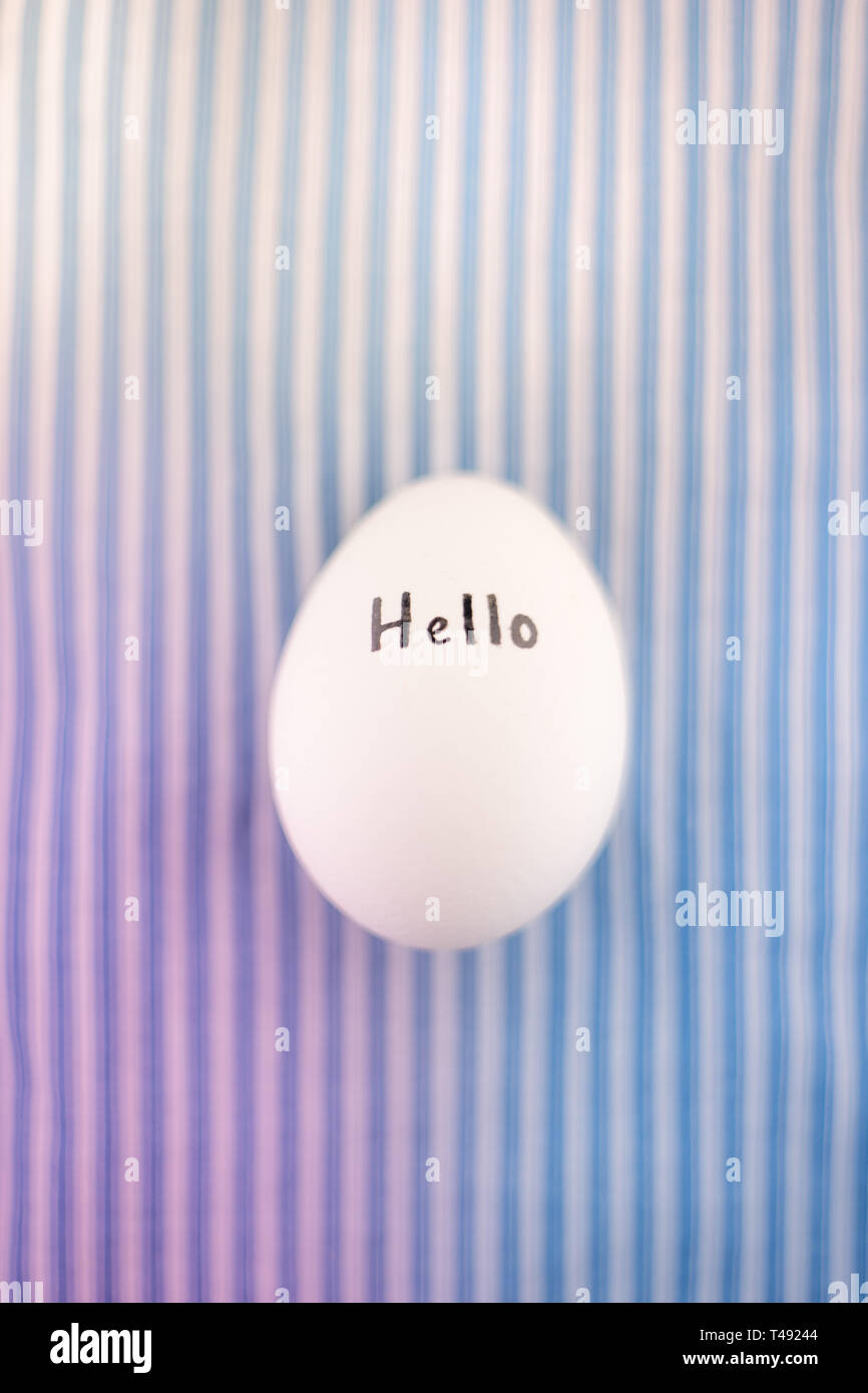 White chicken egg with black inscription hello with pink and blue tones ...