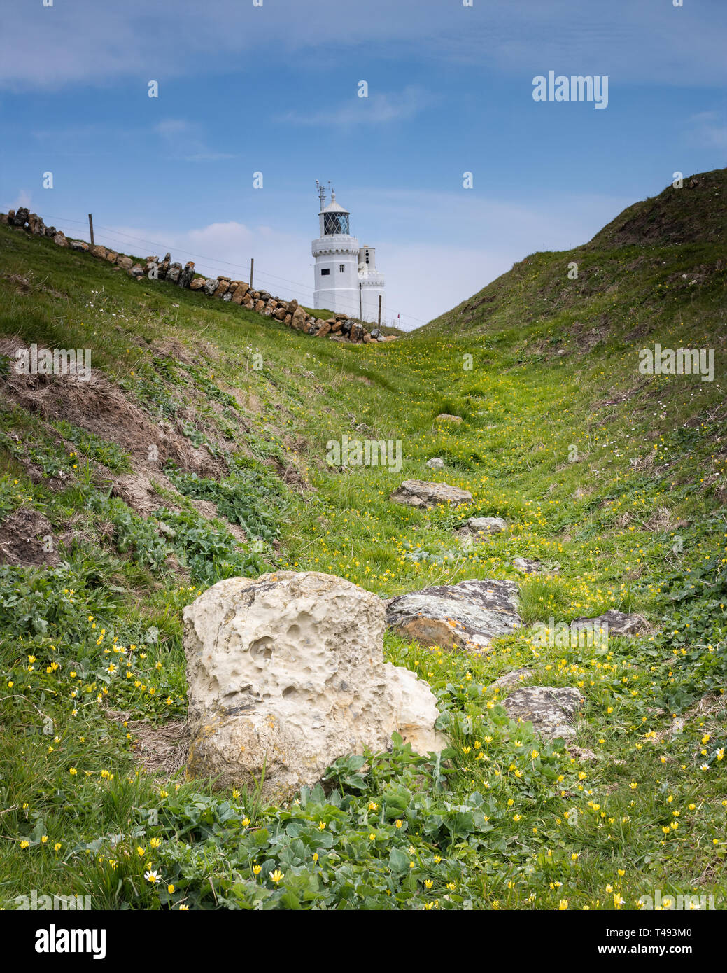 St Catherine's lighthouse with spring flowers and rocks in the ...