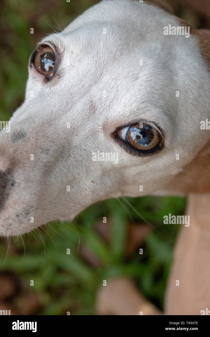 Imaine hi-res stock photography and images - Alamy
