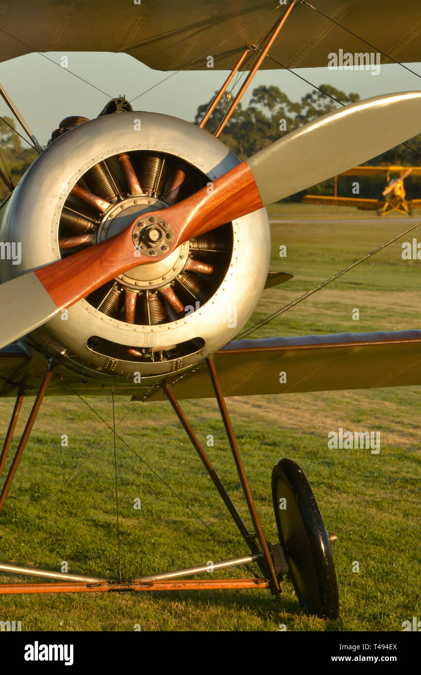 Portrait view of the rotary engine of a First World War Sopwith Pup ...