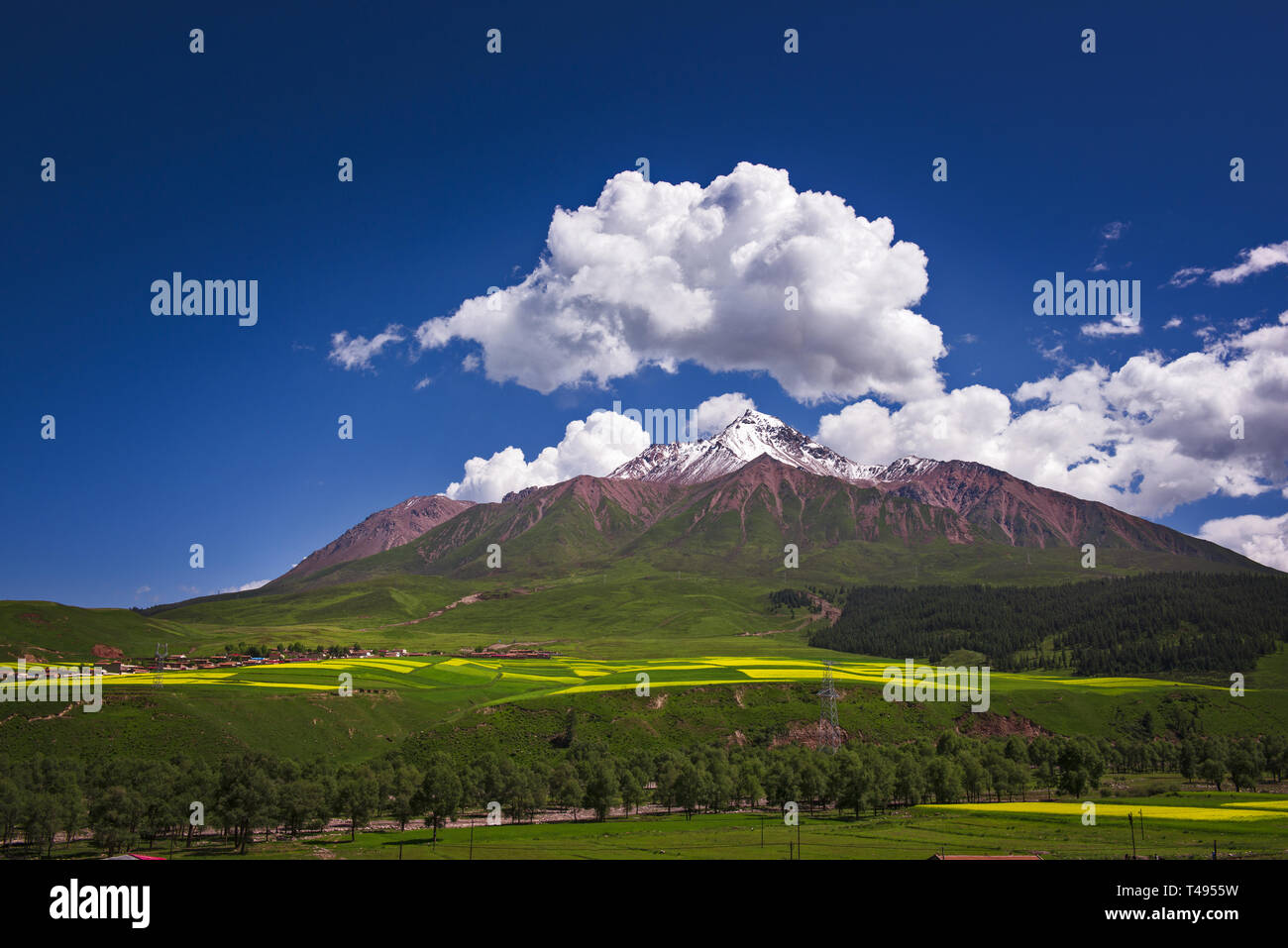 beauty of Qilian Stock Photo - Alamy