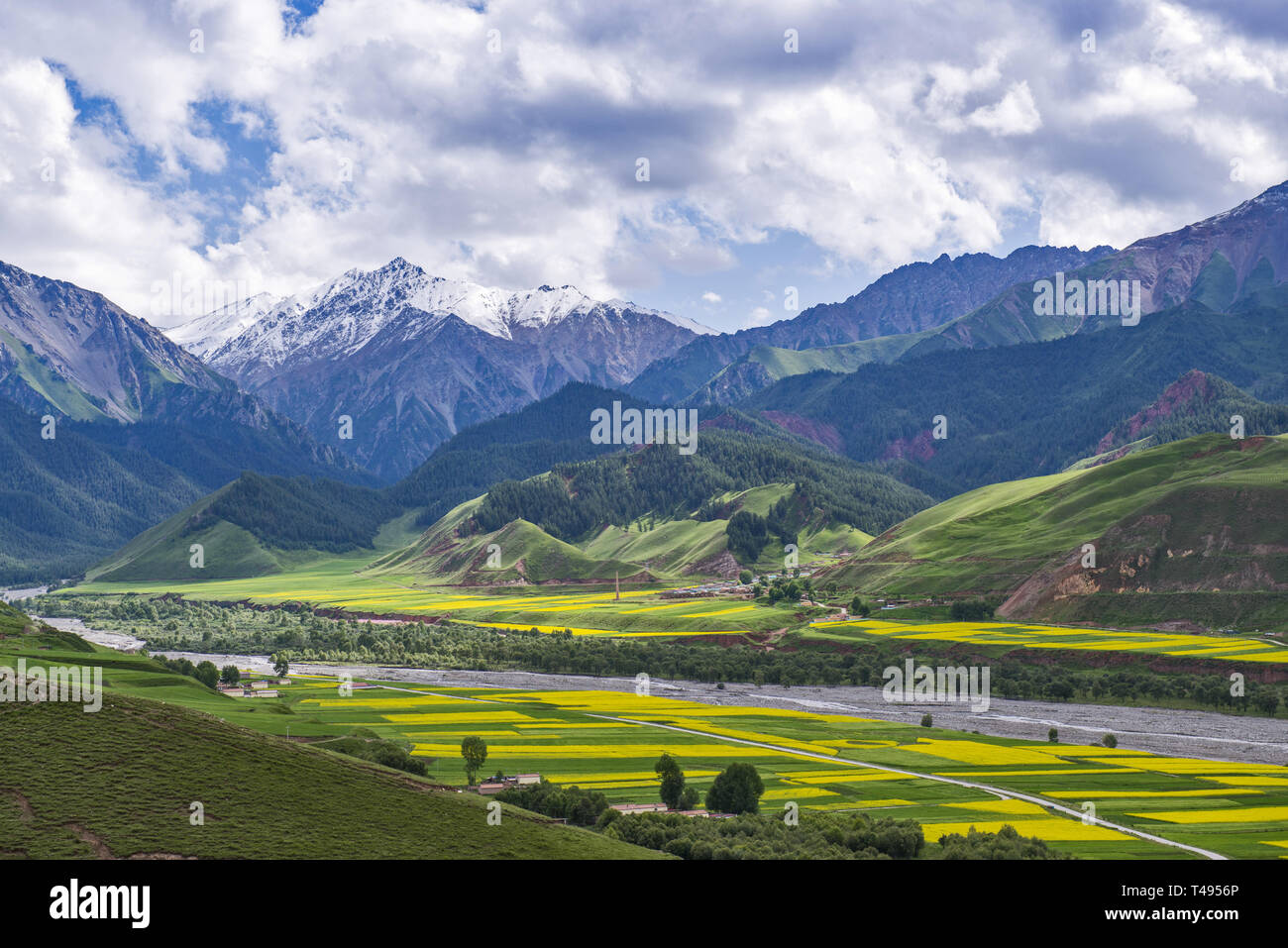 beauty of Qilian Stock Photo - Alamy