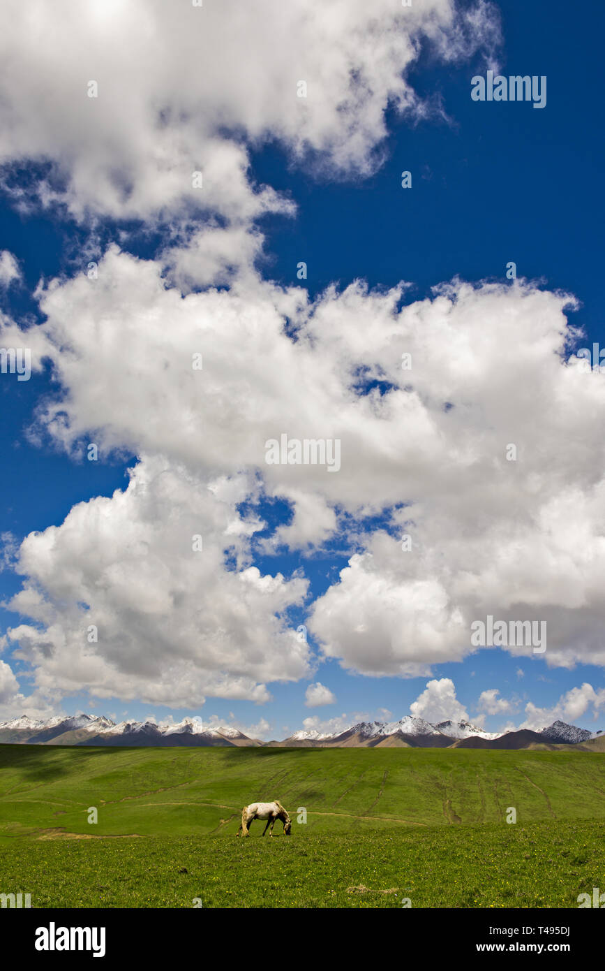 beauty of Qilian Stock Photo - Alamy
