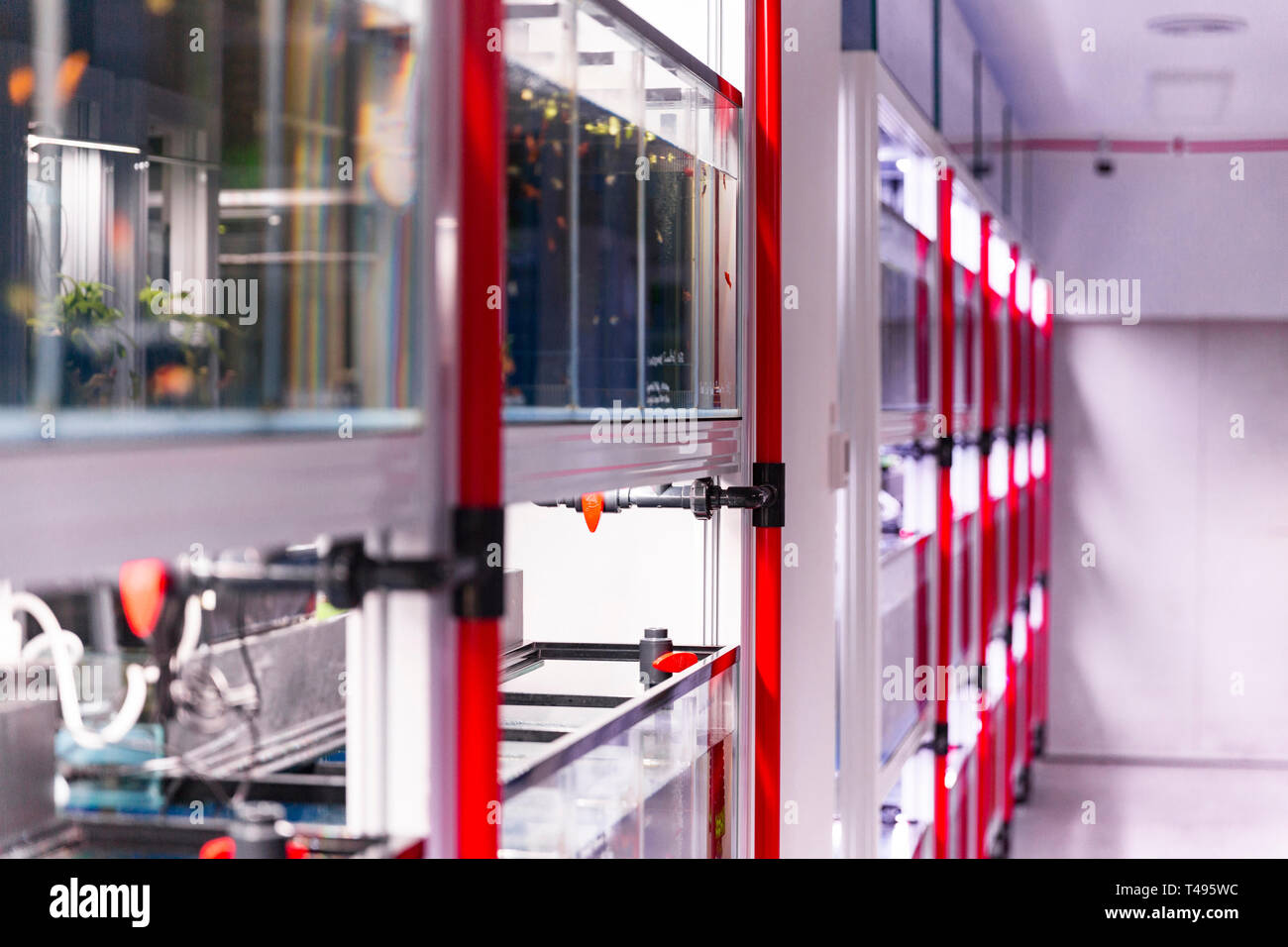 Aquarium door hi-res stock photography and images - Alamy