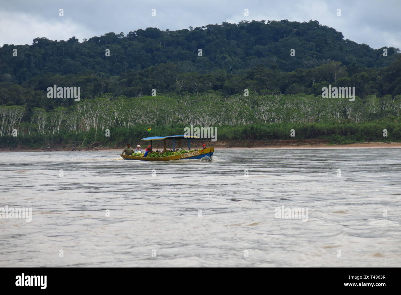 Beni River, Bolivia - MAY 12, 2018: transport of bananas in Beni River ...