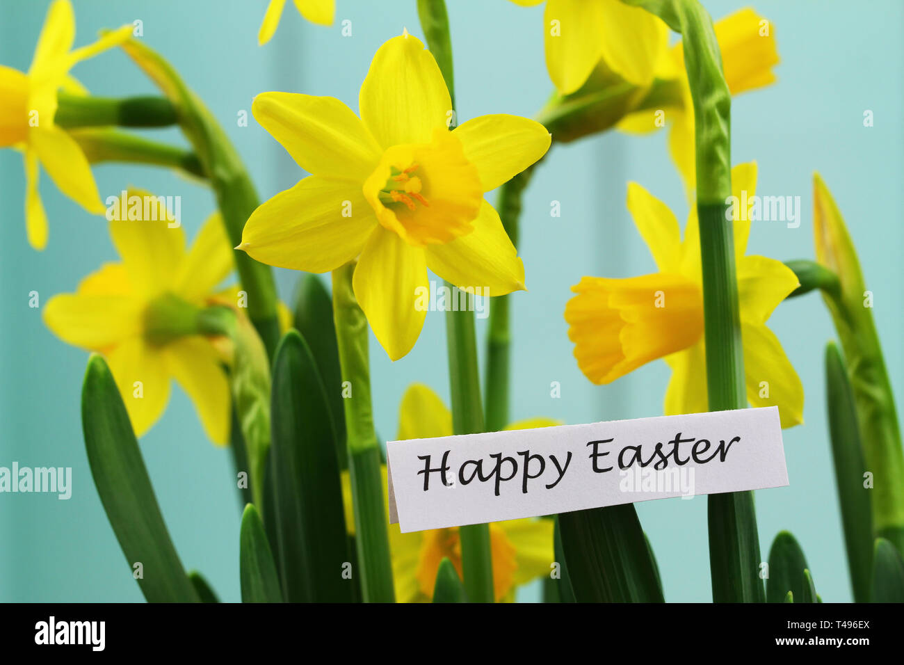 Easter greetings with flowers hi-res stock photography and images - Alamy