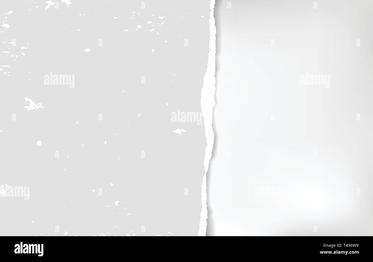 Piece of torn, ripped tattered grey note paper strip with soft shadow ...