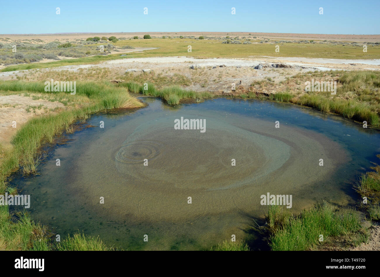 The Bubbler, Oodnadatta Track, Wabma Kadarbu Mound Springs Conservation ...