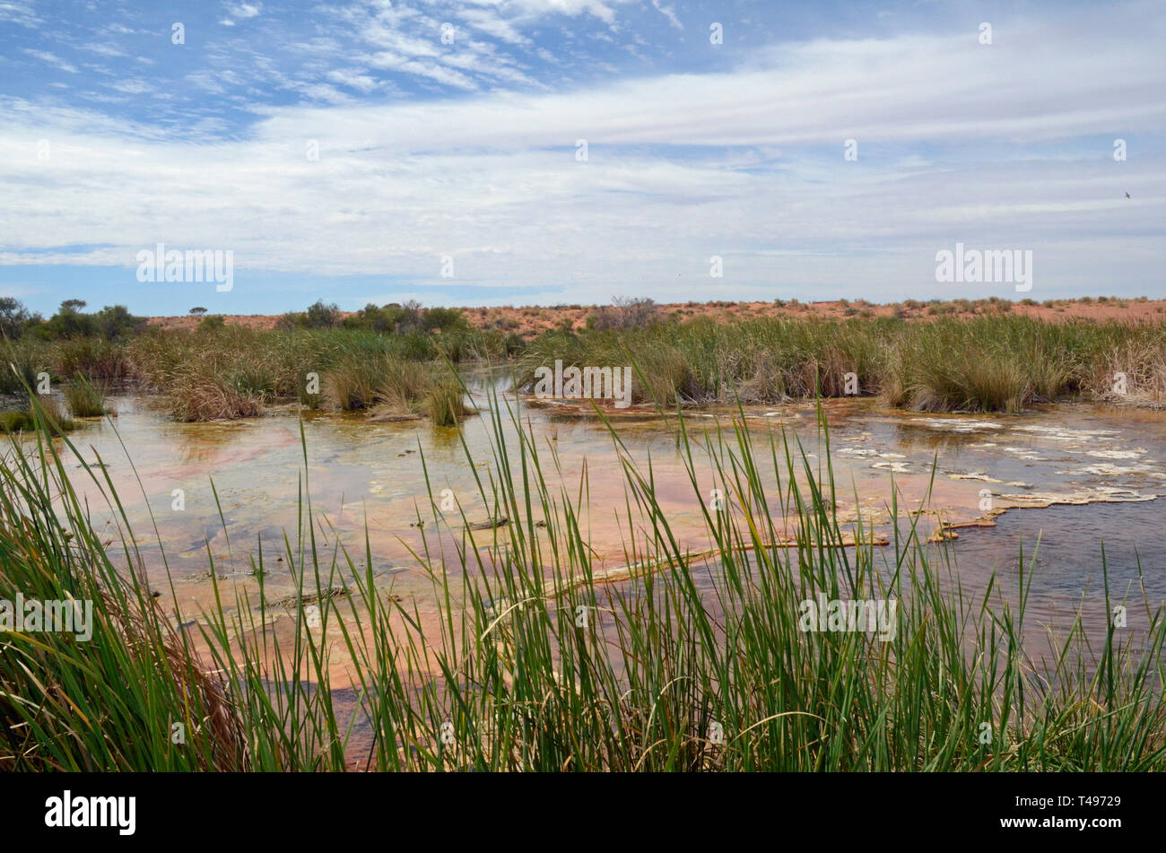 Purni Bore, Witjira National Park, Simpson Desert, South Australia ...