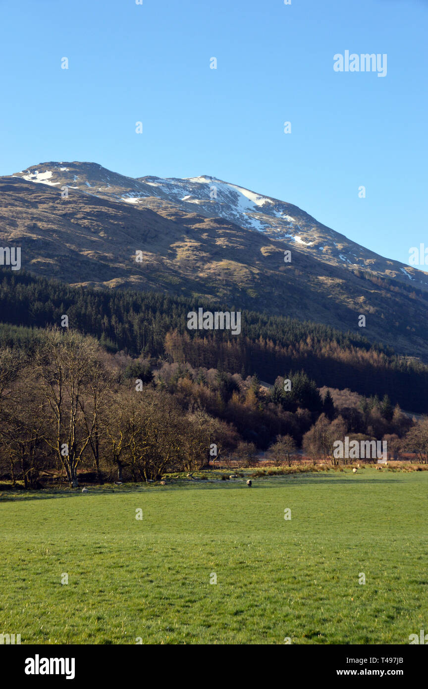 The Scottish Mountain Munro Ben More from the Auchessan Estate in Glen ...