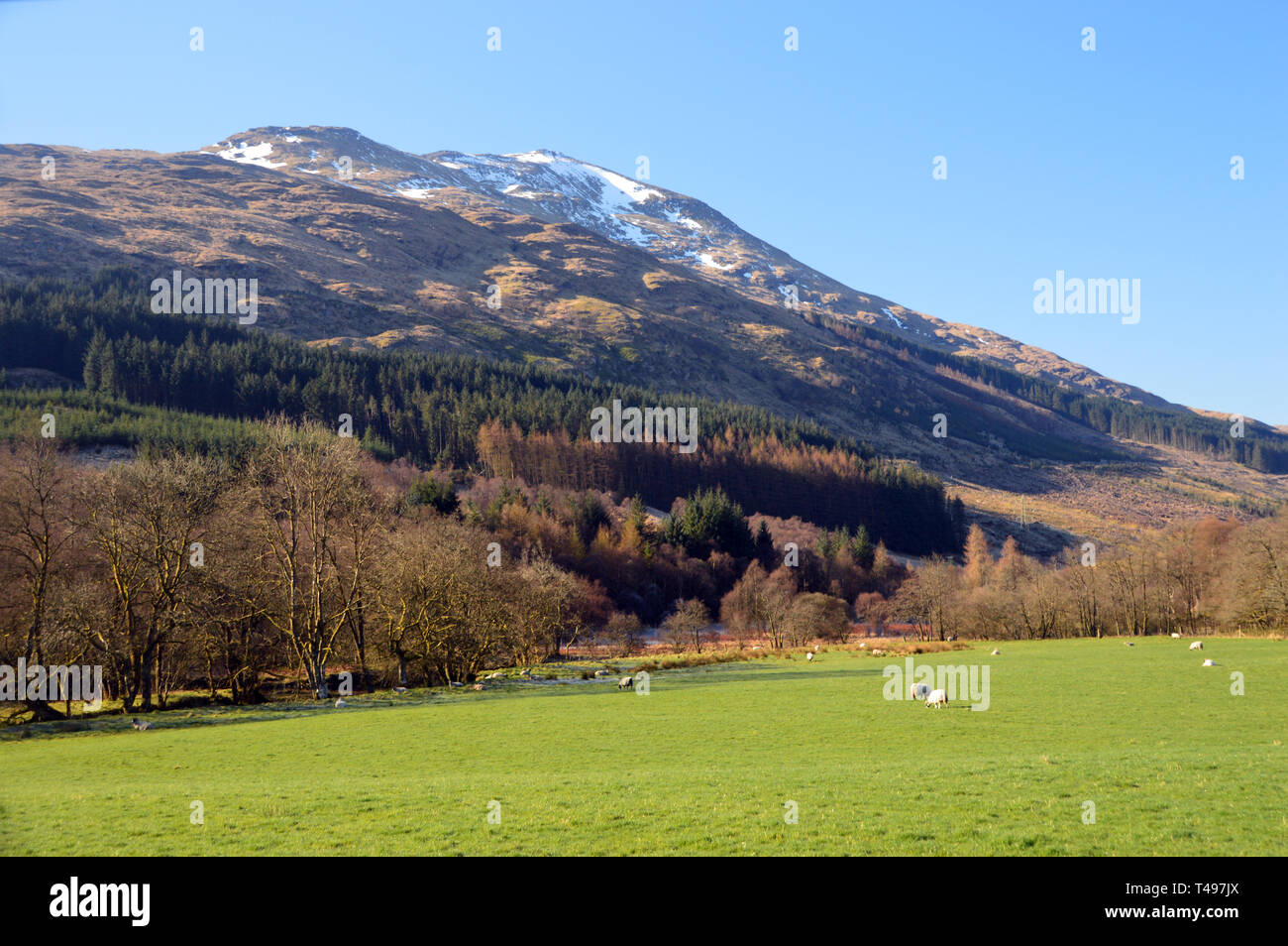 The Scottish Mountain Munro Ben More from the Auchessan Estate in Glen ...