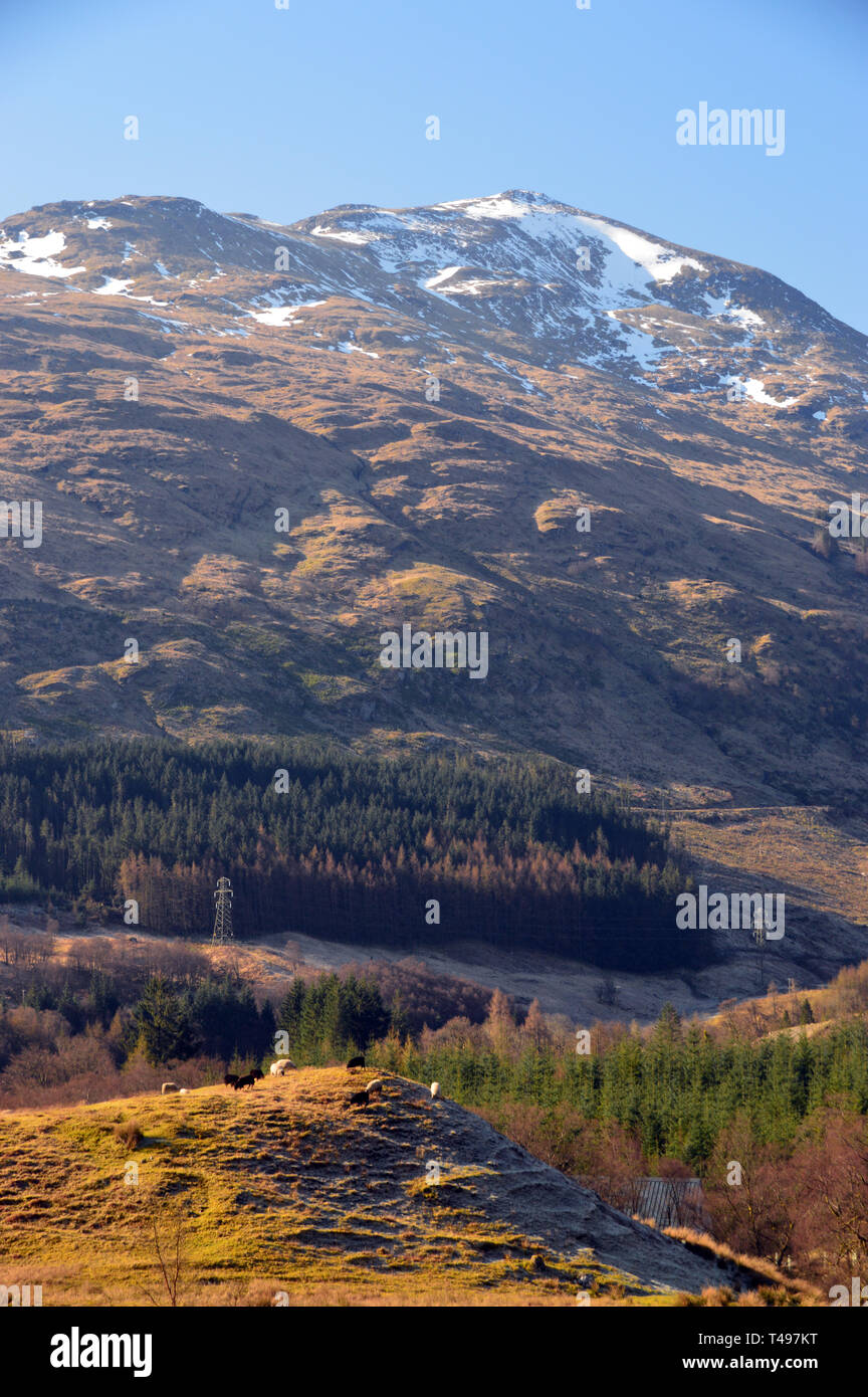 The Scottish Mountain Munro Ben More from the Auchessan Estate in Glen ...