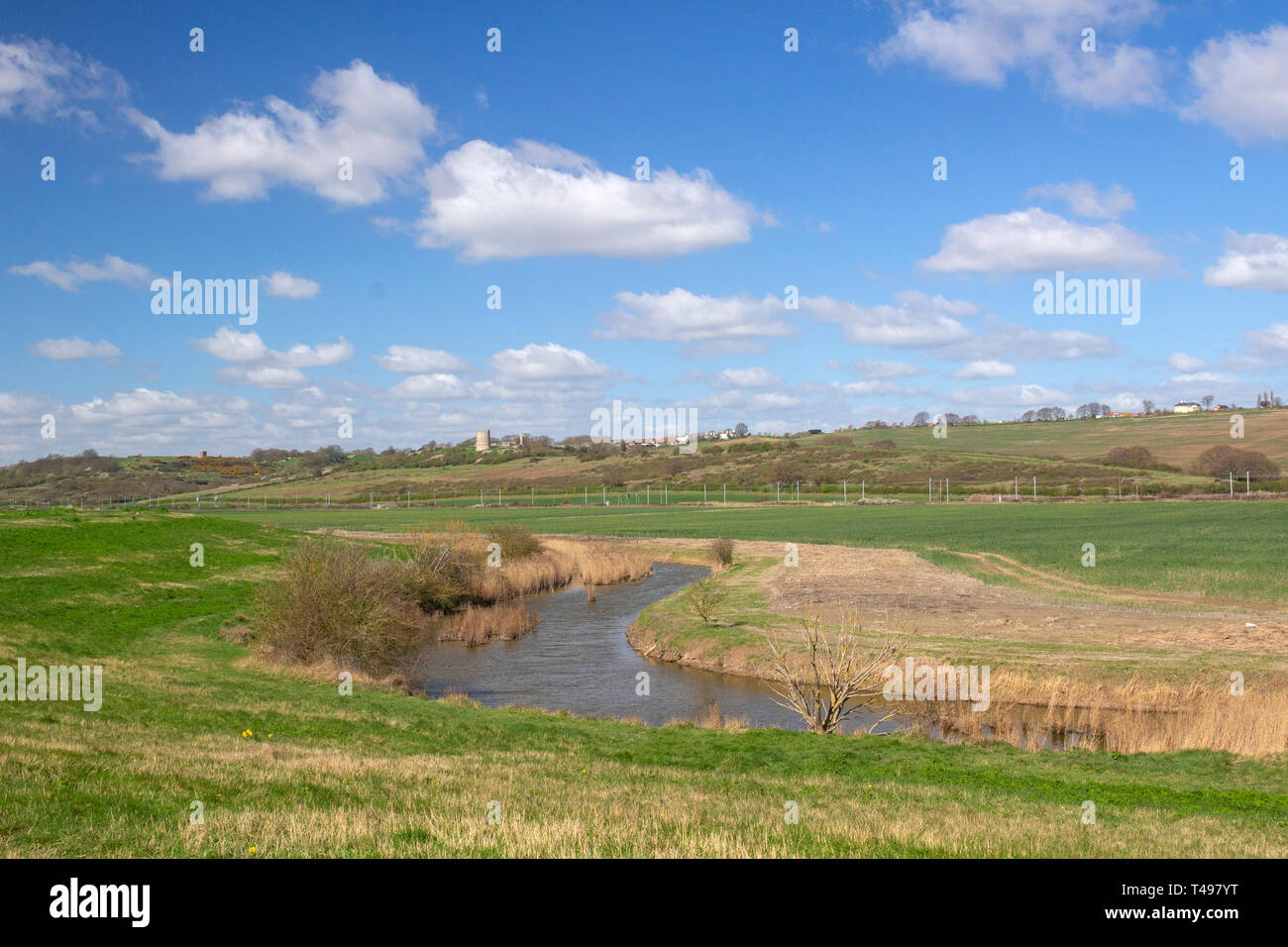 Borrow dyke on Hadleigh marshes, Essex, England Stock Photo - Alamy