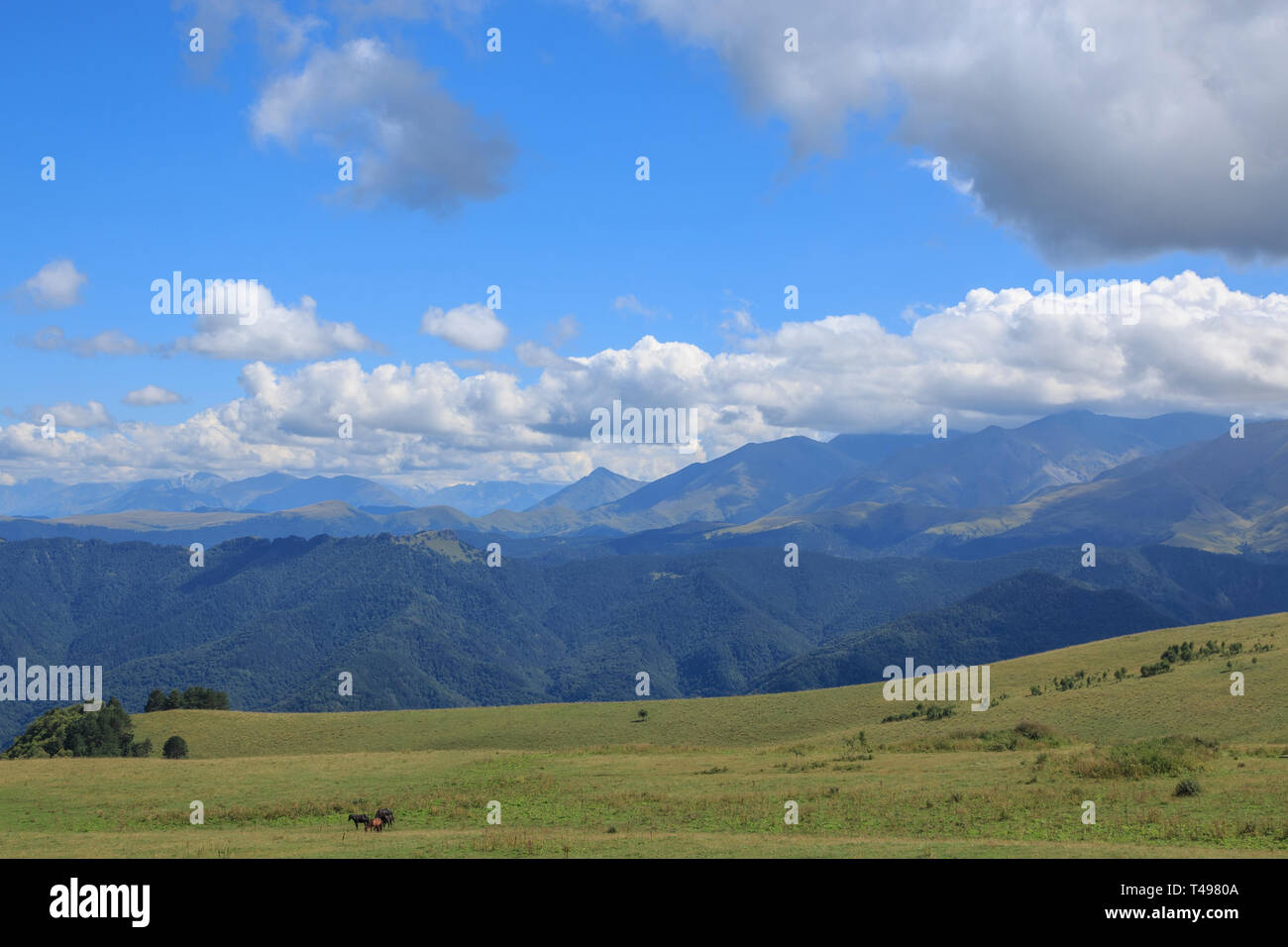 Panorama view of mountains and valley scenes in national park Dombay ...