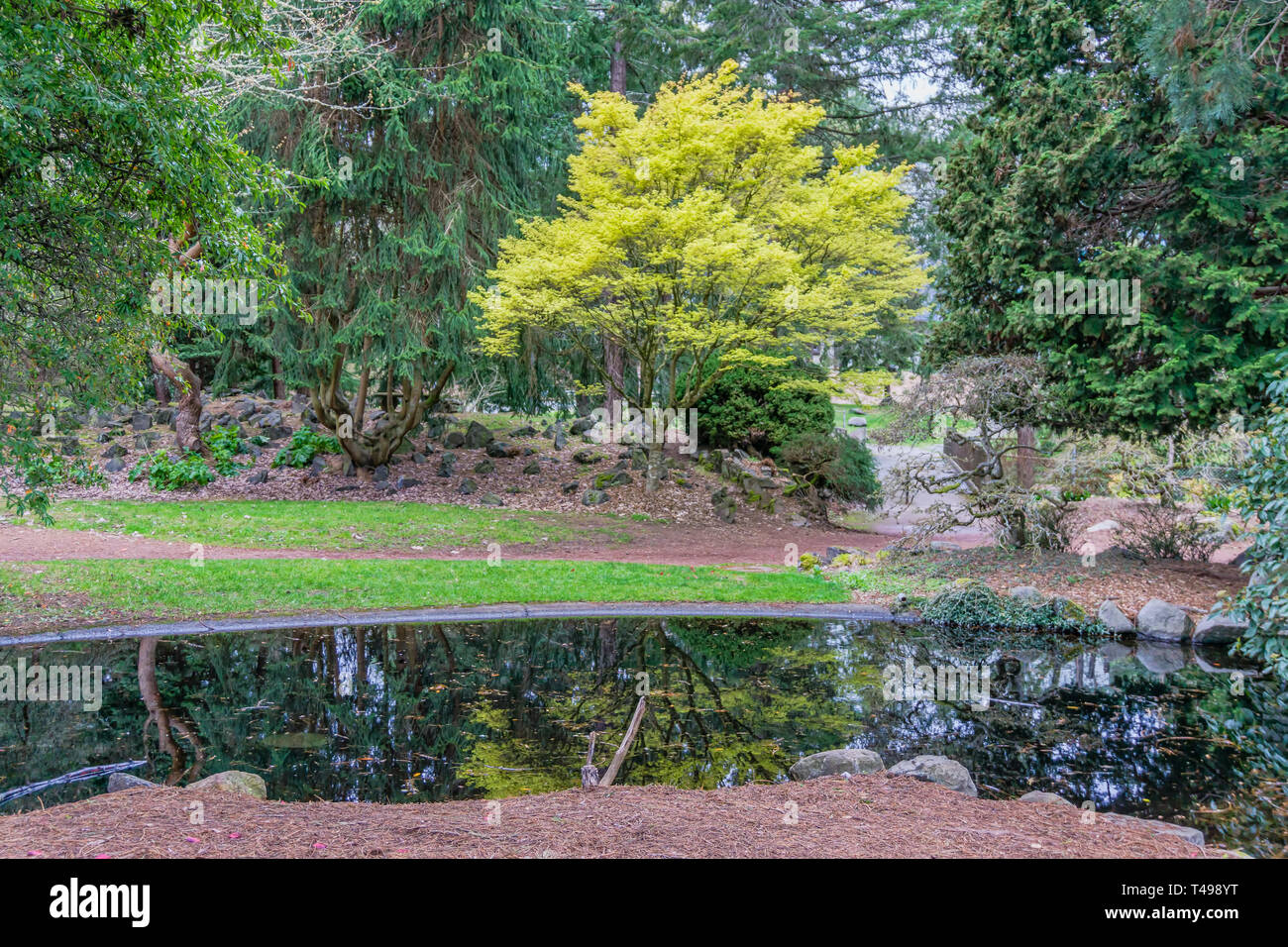 Trre hi-res stock photography and images - Alamy