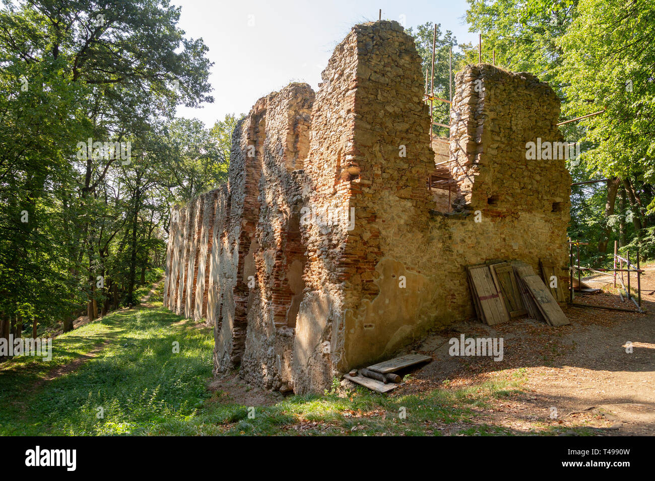 ancient ruins in forest Stock Photo - Alamy
