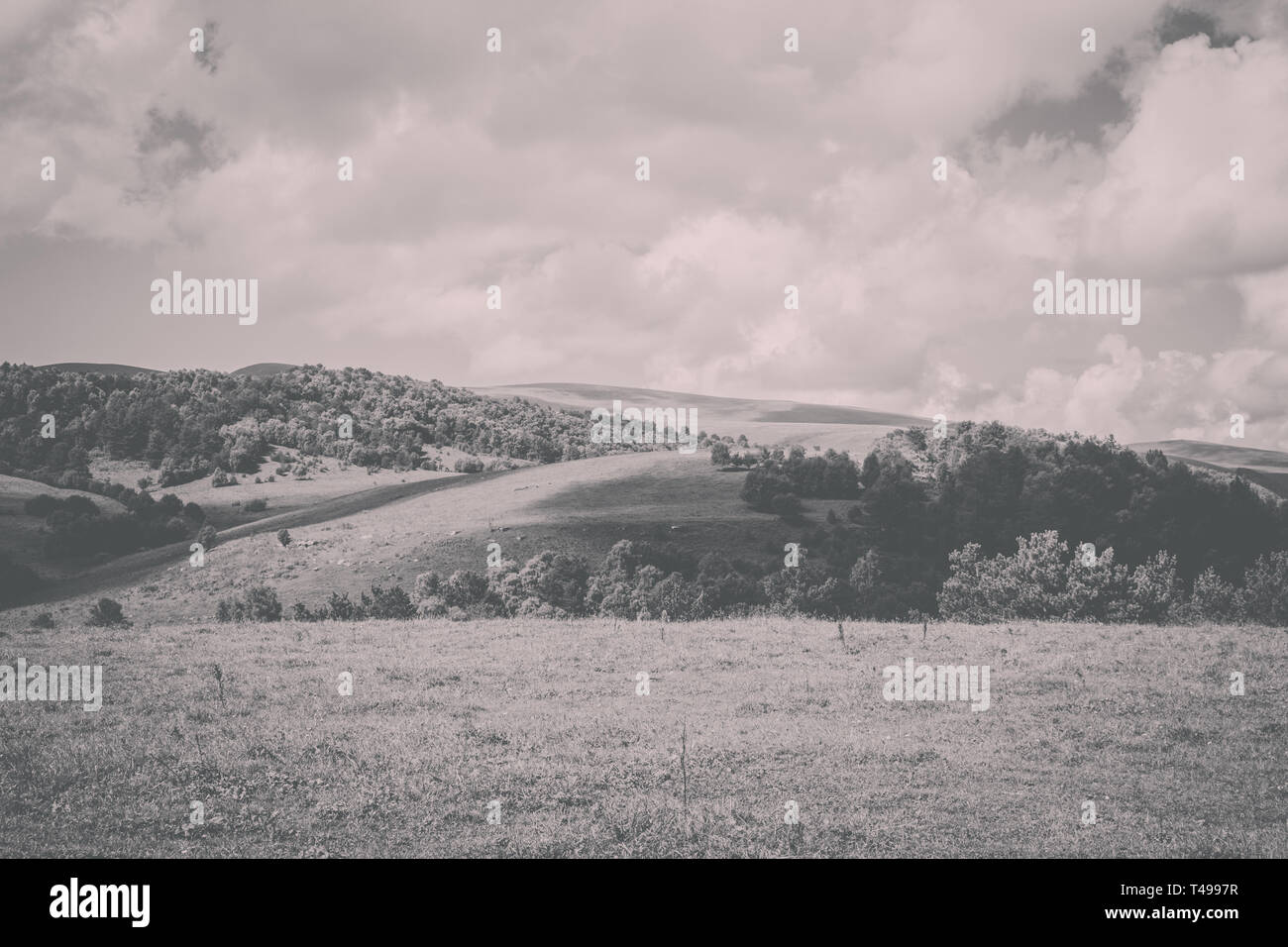 Closeup view mountains and valley scenes in national park Dombai ...