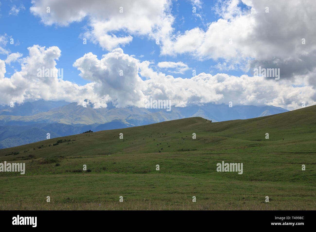 Closeup view mountains and valley scenes in national park Dombai ...