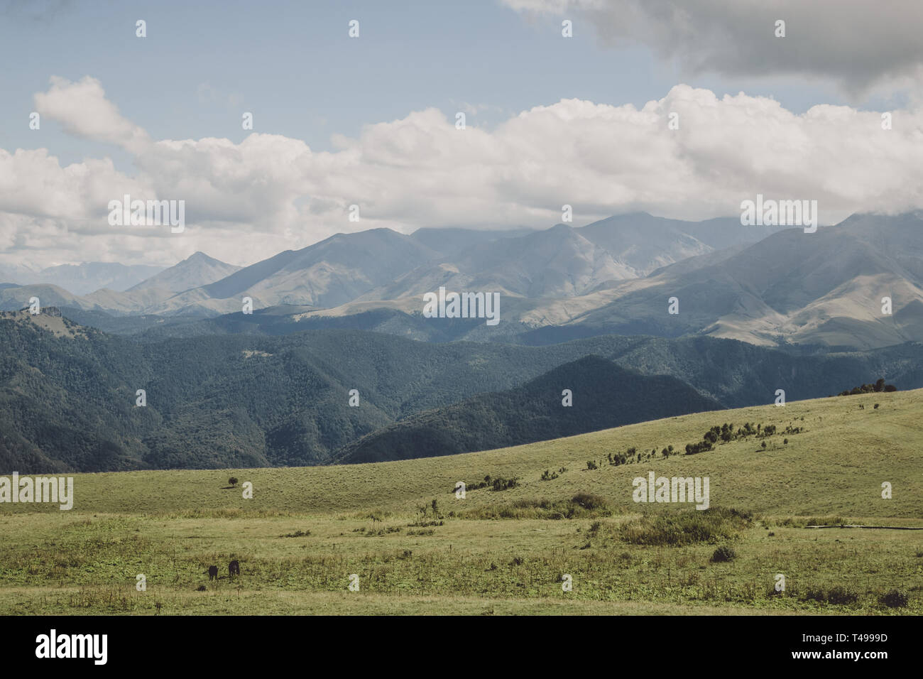 Closeup view mountains and valley scenes in national park Dombai ...
