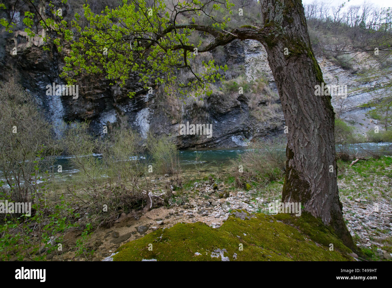 Gorges de la bourne hi-res stock photography and images - Alamy