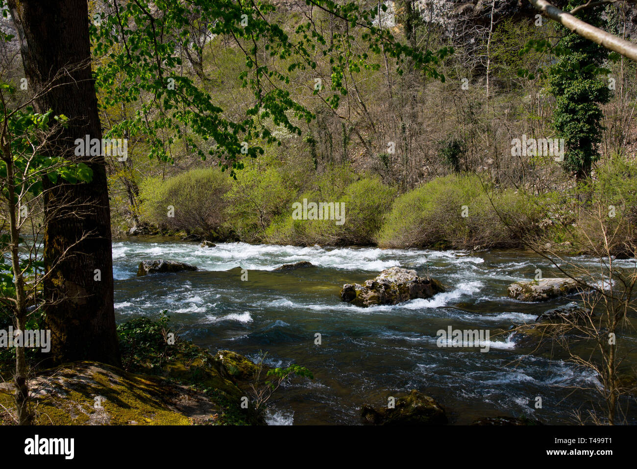 The "gorges de la Bourne" in the Vercors area in France Stock Photo - Alamy
