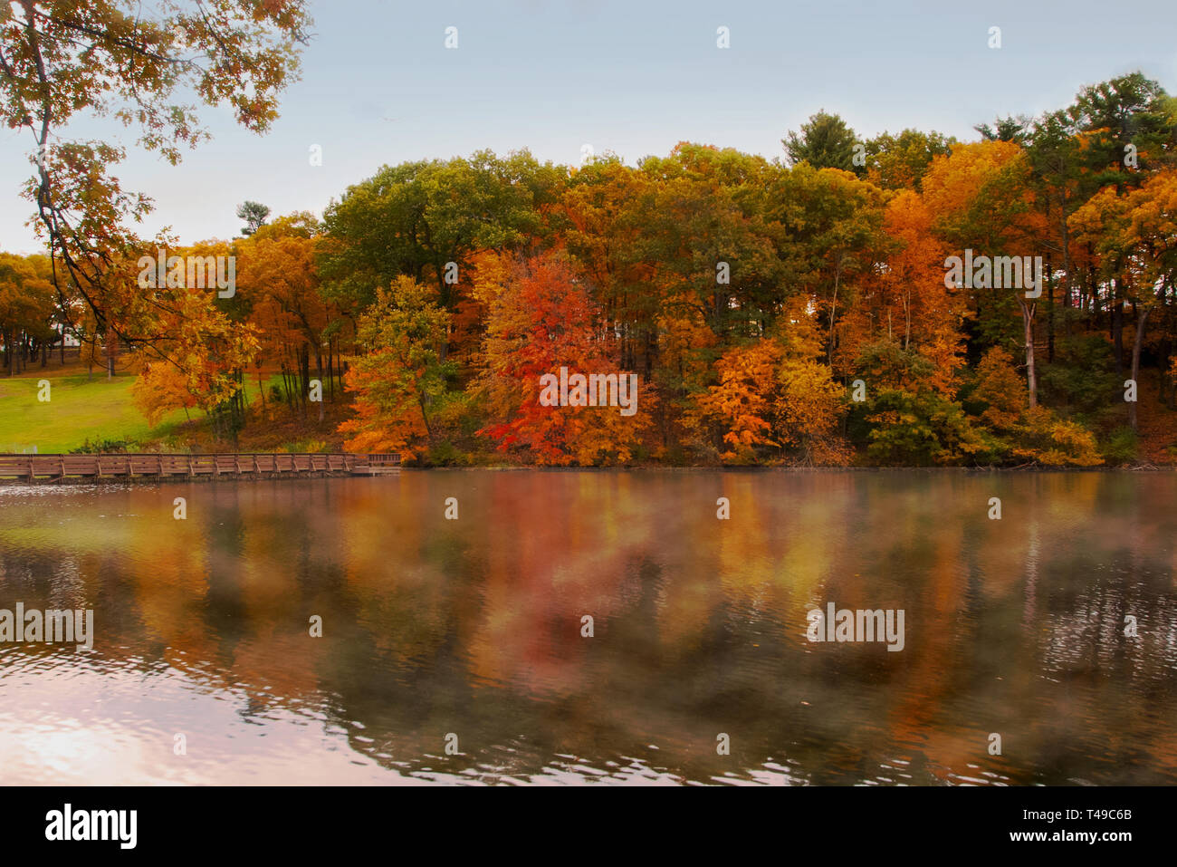 Delightful colors hi-res stock photography and images - Alamy